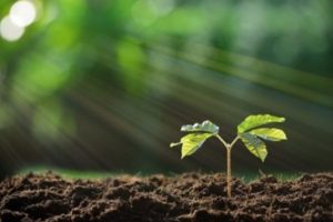 Is Environmental Science Hard? (Here Is The Detailed Answer) 2024