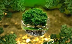 Is Environmental Science Hard? (Here Is The Detailed Answer) 2024