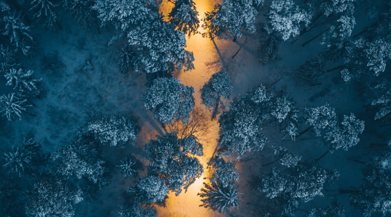 What Is An Example Of Using Quantum Computing For Sustainable Practices?